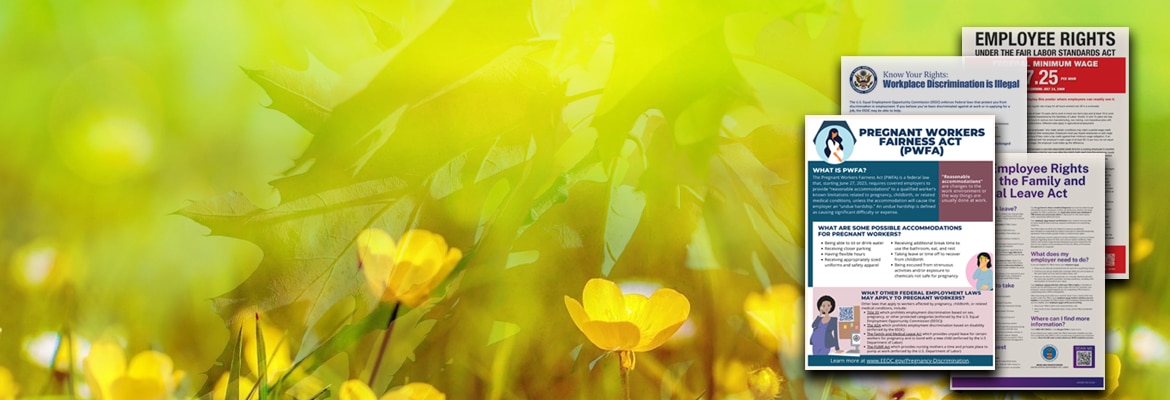 State & Federal Labor Law Posters | All In One Poster Company